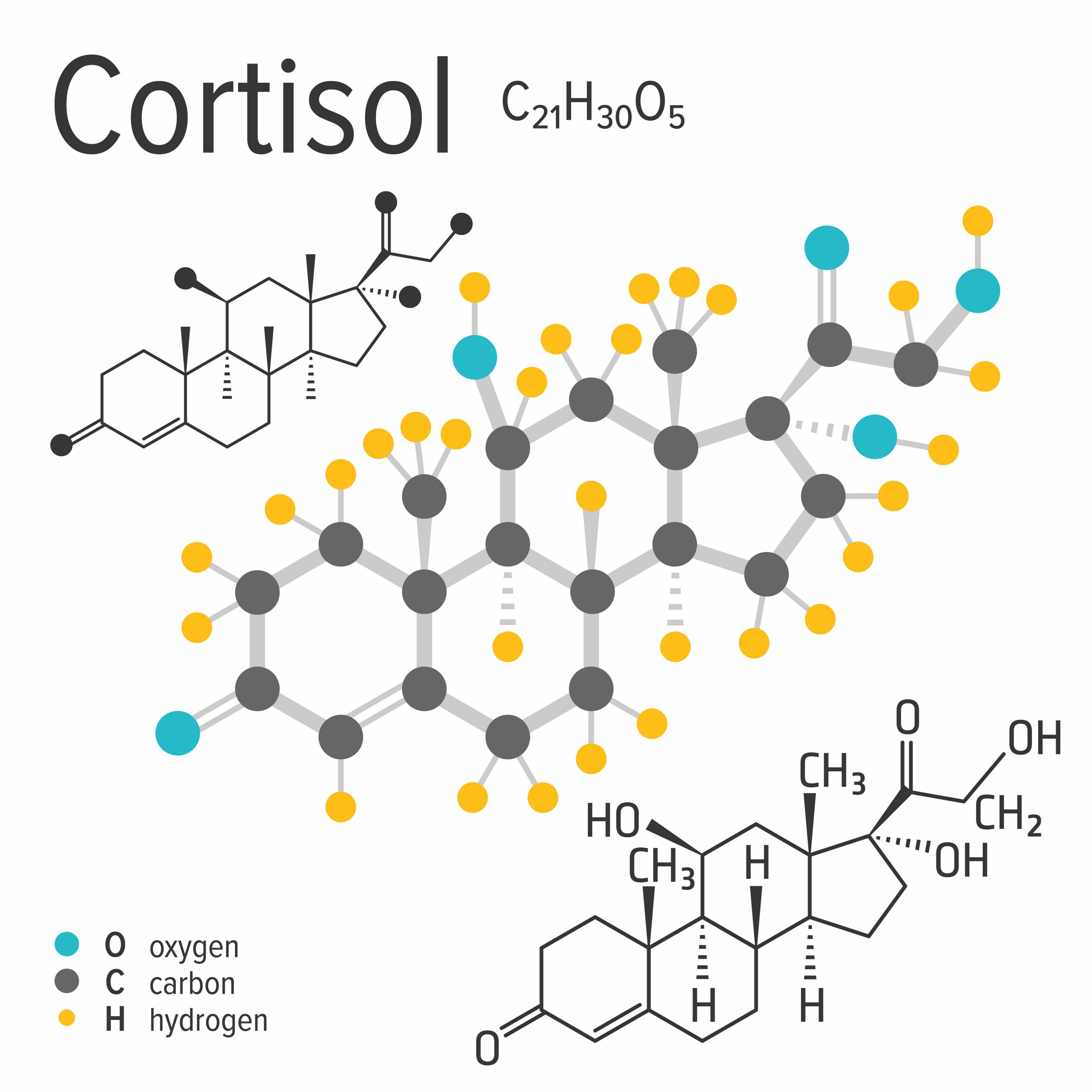 CORTISOL ET STRESS - SophroColibri